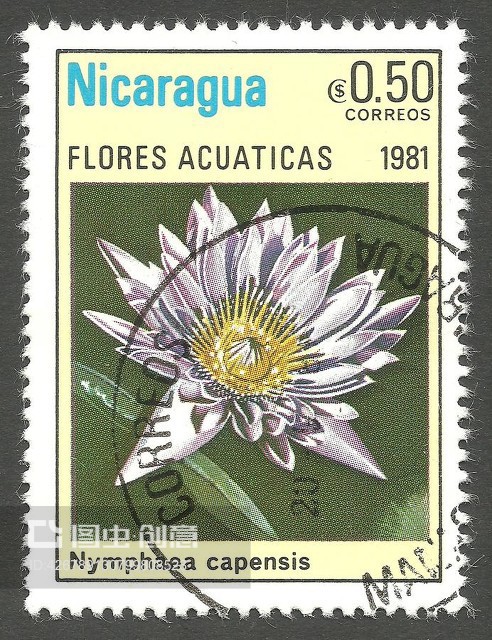 全见版–基图·tu1069图片素材-免费可商用-高清下载-快剪辑